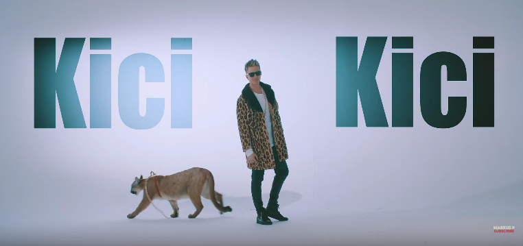 Markus P – Kici kici miał | Hity Disco Polo